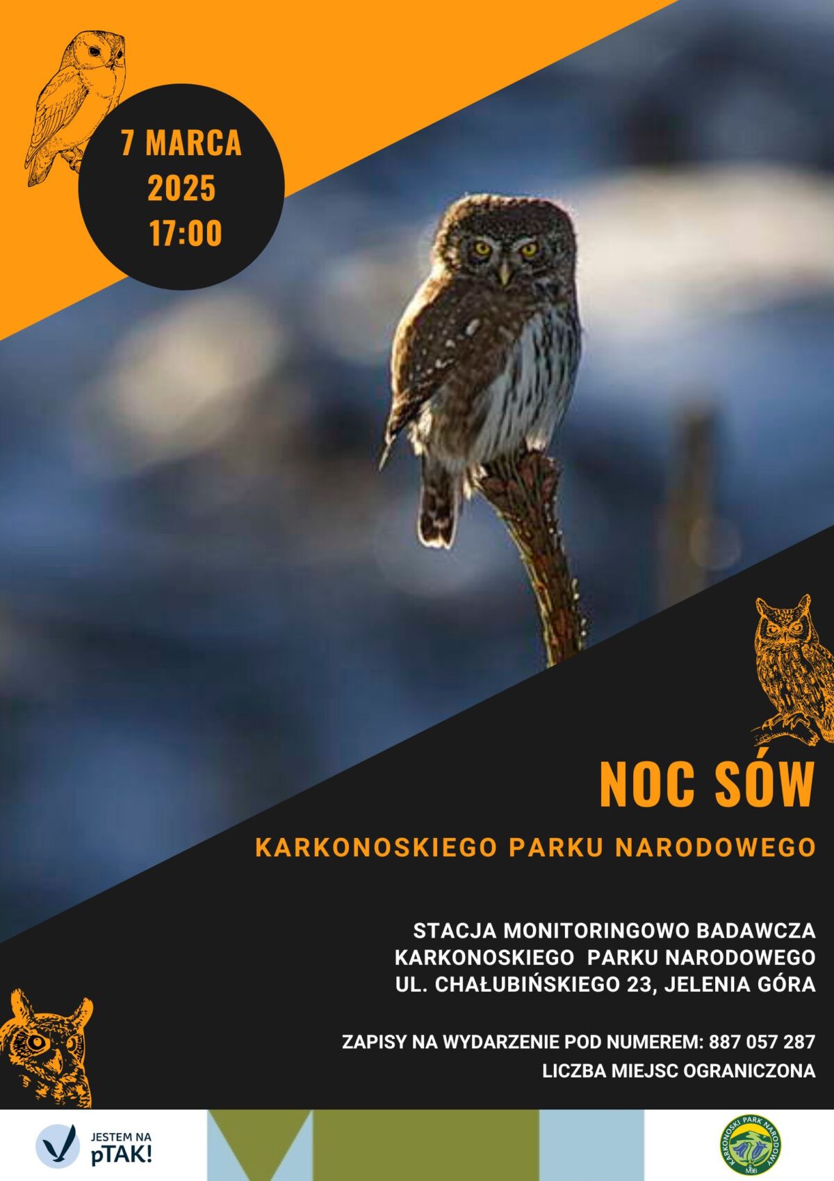 Kalendarz Nocy Sów - Noc Sów